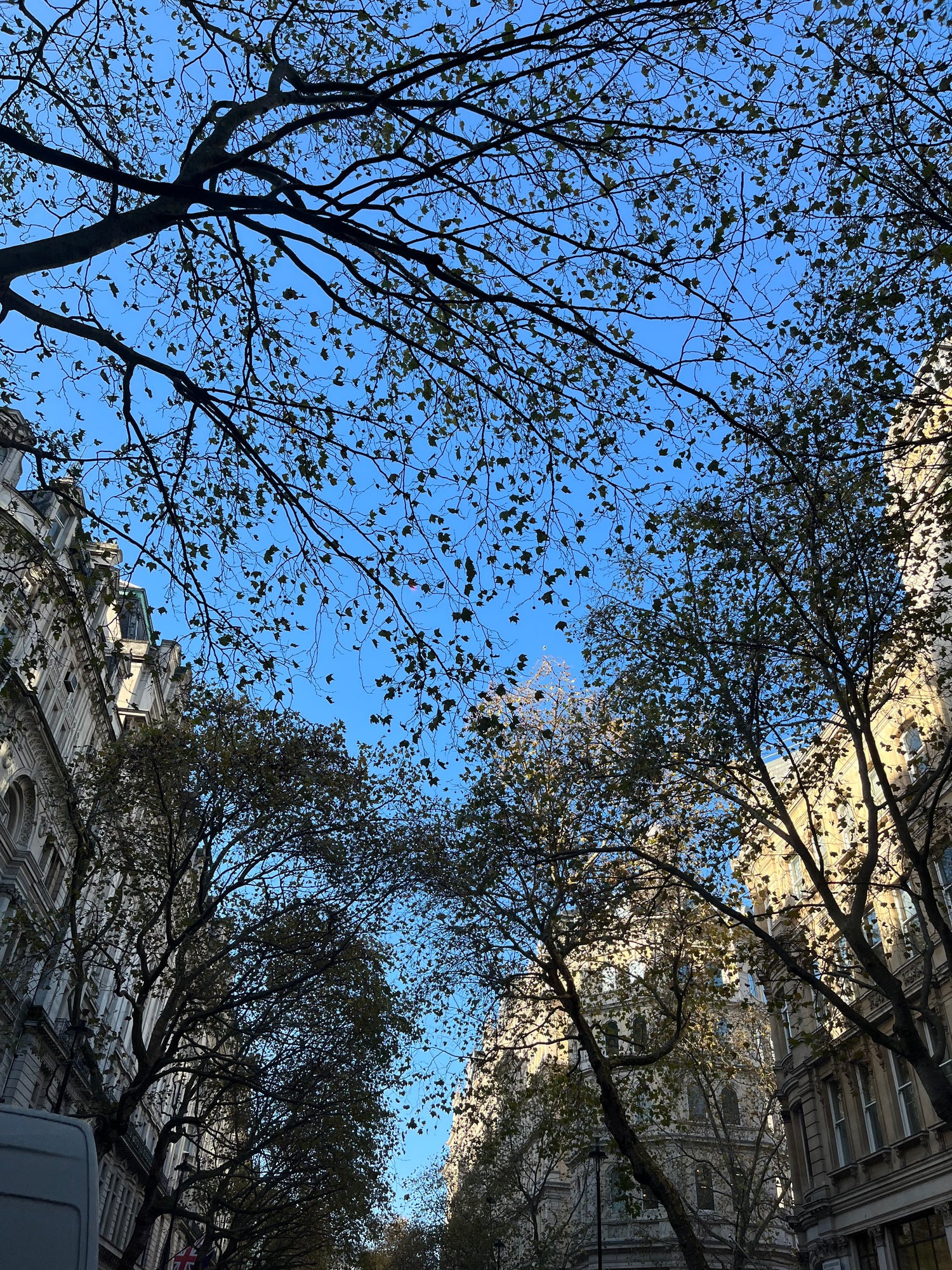 Natural England unveils new Green Infrastructure Framework – thaliawhite