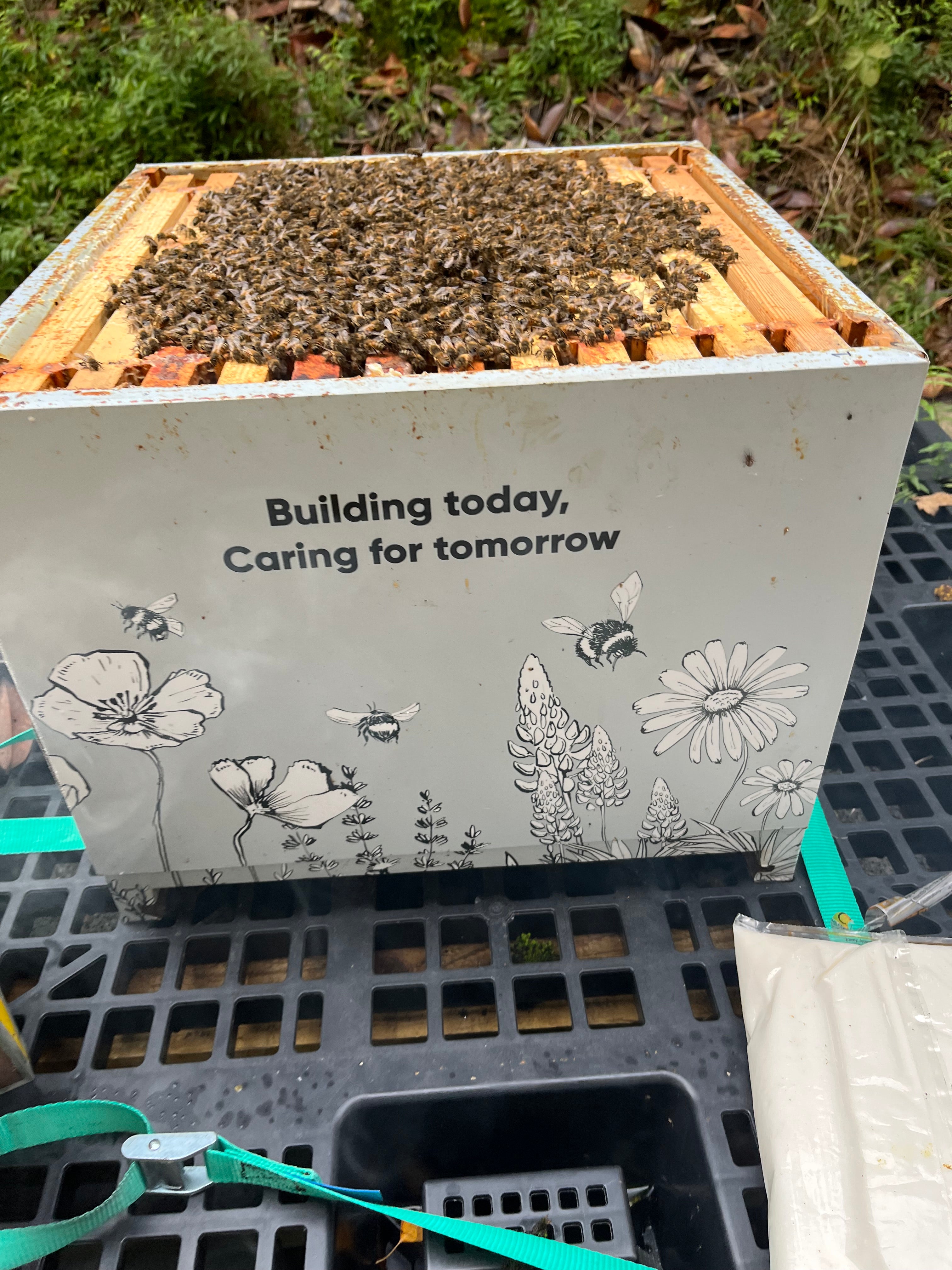 Winter hive checks – thaliawhite